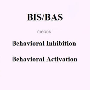 دانلود پرسشنامه بازداری رفتاری و فعال سازی رفتاری (BIS/BAS) - تراپیست ...